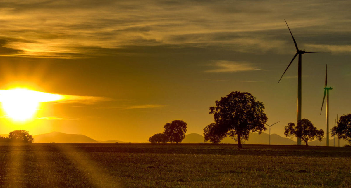 Bundesverband Bioenergie :: Home