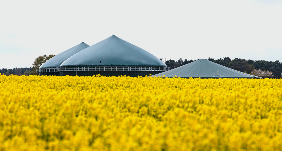 Home :: Bundesverband Bioenergie